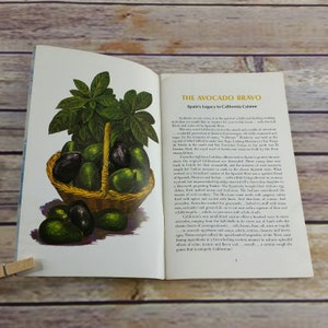 Vintage Cookbook the Avocado Bravo 1970s Avocado Recipes California ...