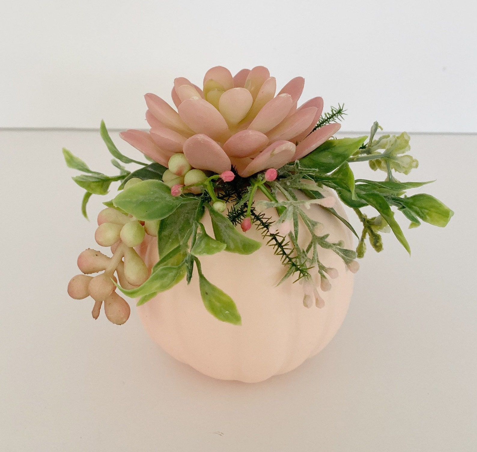 Pink Mini Pumpkin Succulent Arrangement Blush Fall Decor - Etsy