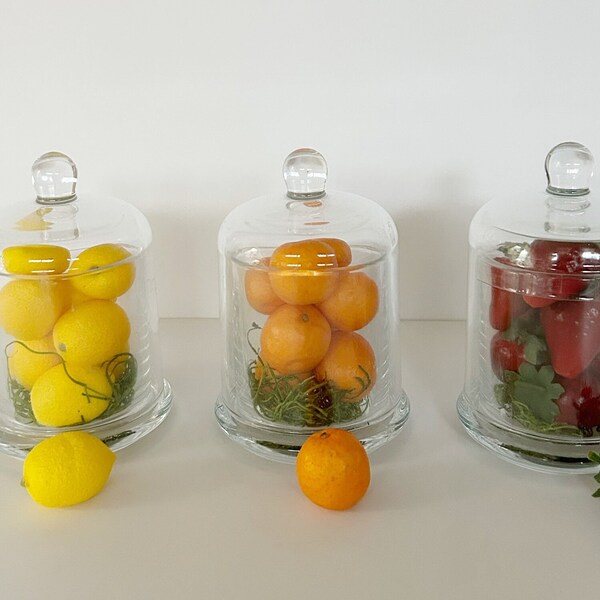 Glass Cloche - Etsy