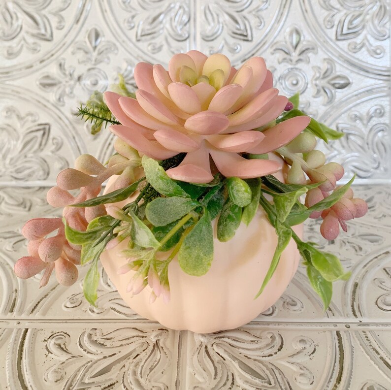 Pink Mini Pumpkin Succulent Arrangement Blush Fall Decor - Etsy