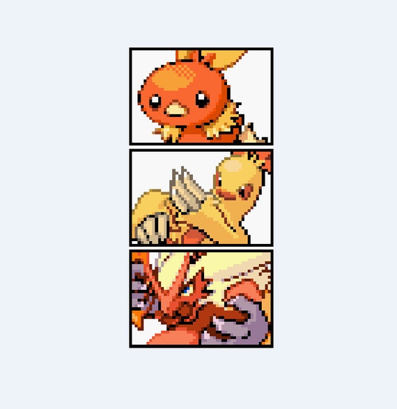 Combusken Pokemon Evolution