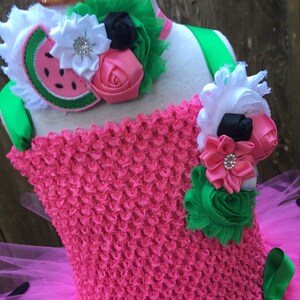 Watermelon Costume - Watermelon Tutu - Watermelon Dress - Halloween ...