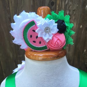 Watermelon Costume - Watermelon Tutu - Watermelon Dress - Halloween ...