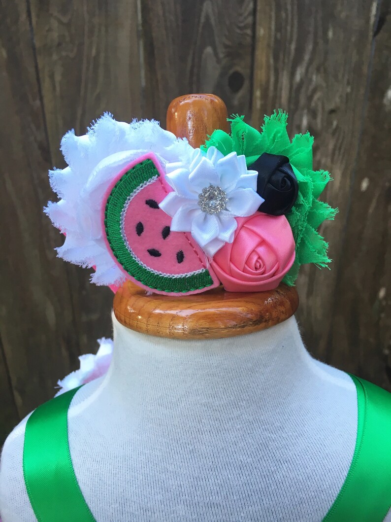 Watermelon costume watermelon tutu watermelon dress | Etsy