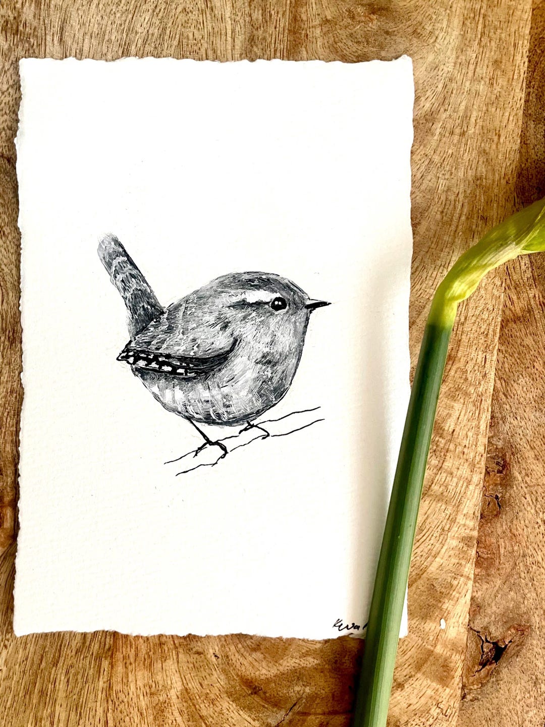 Wren Portrait, Small Original Ink Drawing - Etsy
