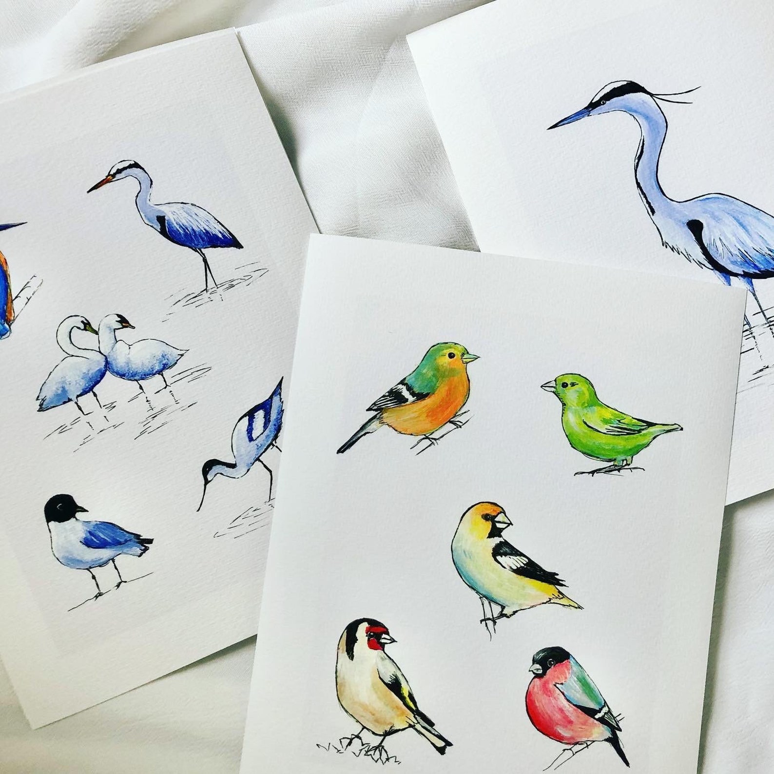 Water Birds Fine Art Print - Etsy