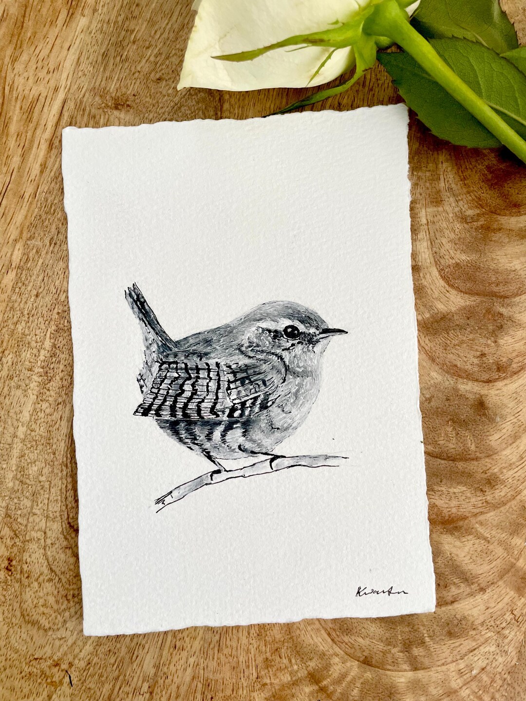 Wren Portrait, Small Original Ink Drawing - Etsy