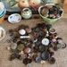 Vintage Buttons Lot of Buttons Sewing Buttons for Sewing Crafts Buttons ...