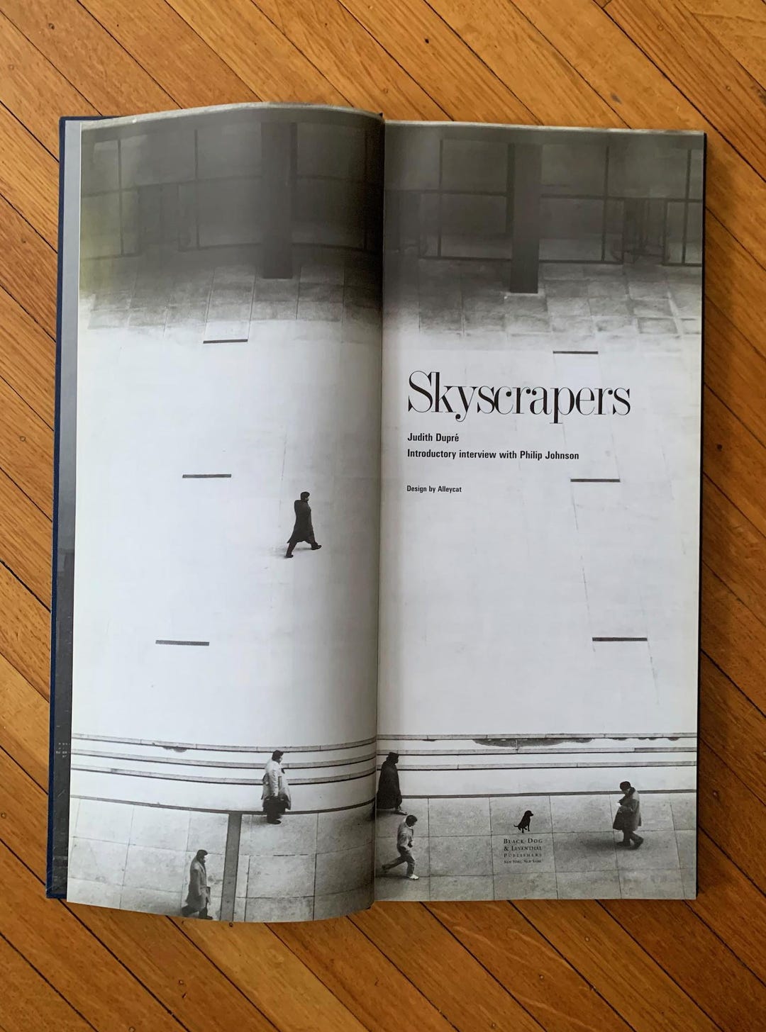 Skyscrapers Book Coffee Table Book Gift for Reader Bookshelf Decor Gift ...