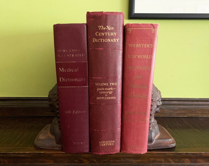 Vintage Dictionary Webster's Dictionary the New Century Dictionary ...