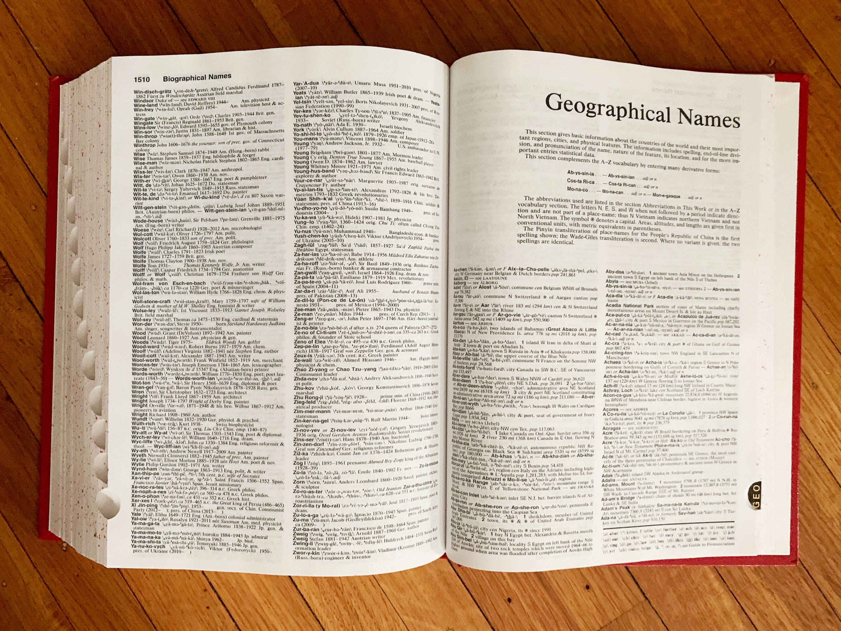 Vintage Dictionary Websters Dictionary Old Dictionary Antique | Etsy