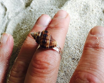Seashell ring | Etsy