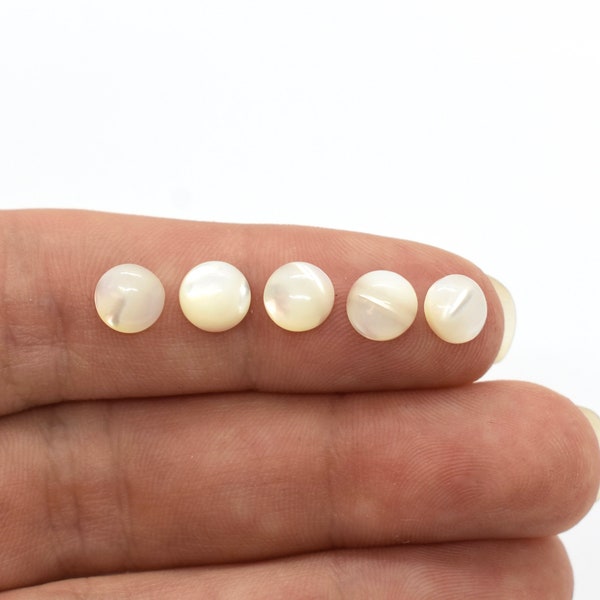 Flat Round Shell - Etsy