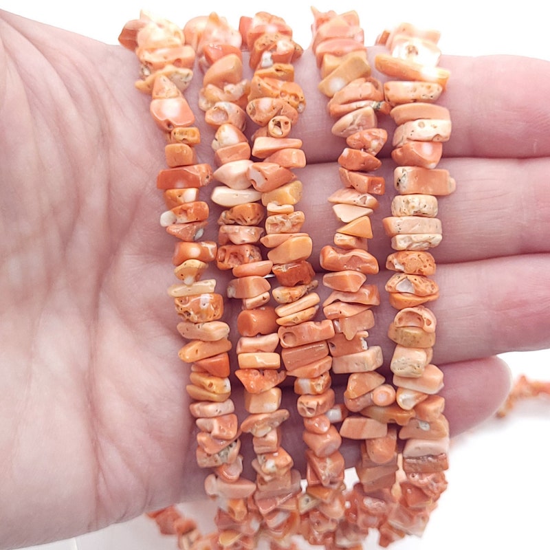 Coral Chips - Etsy