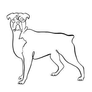 Modern Minimalist Line Drawing of Boxer Dog, Fine Art Print of Simple ...