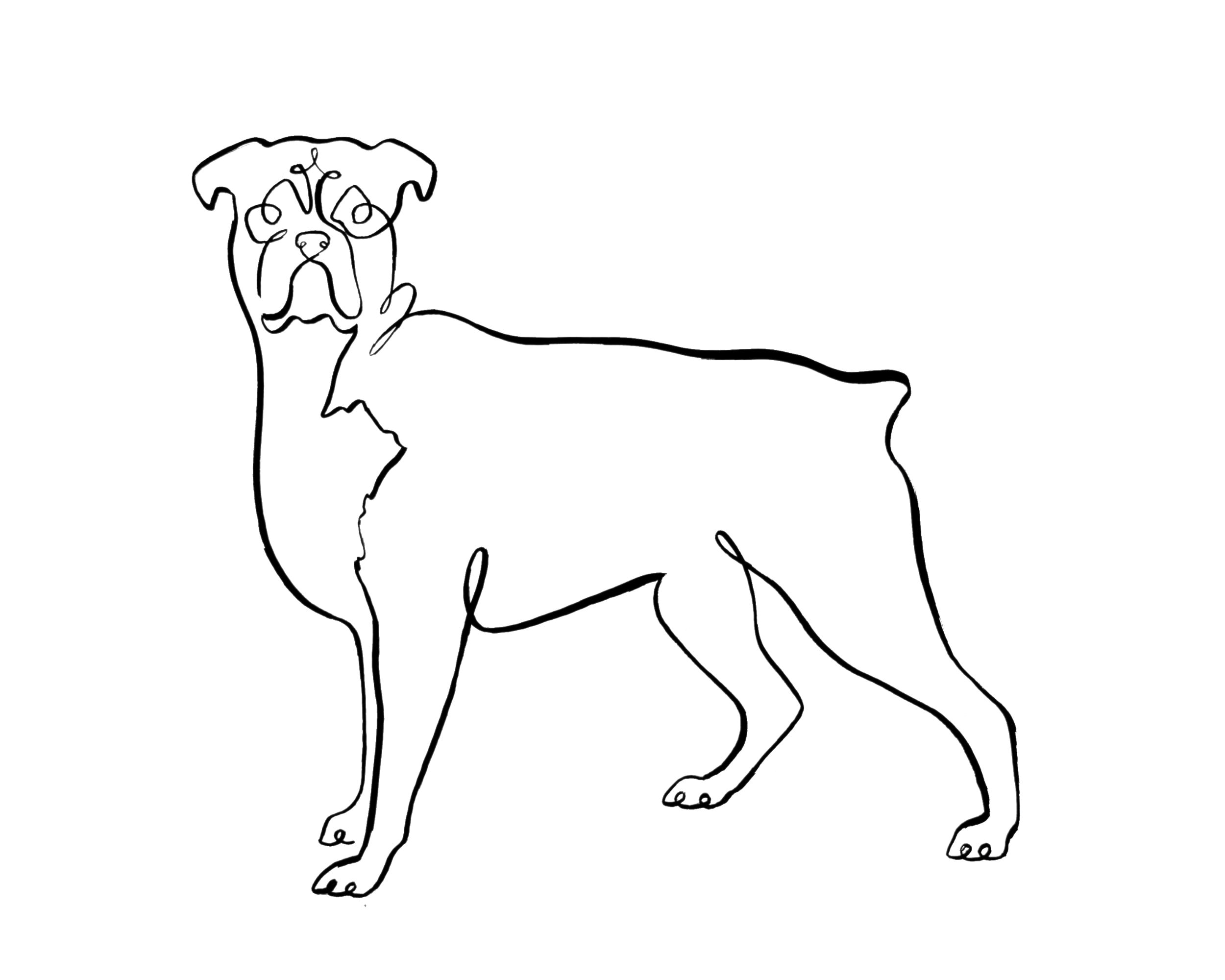 Modern Minimalist Line Drawing of Boxer Dog, Fine Art Print of Simple ...