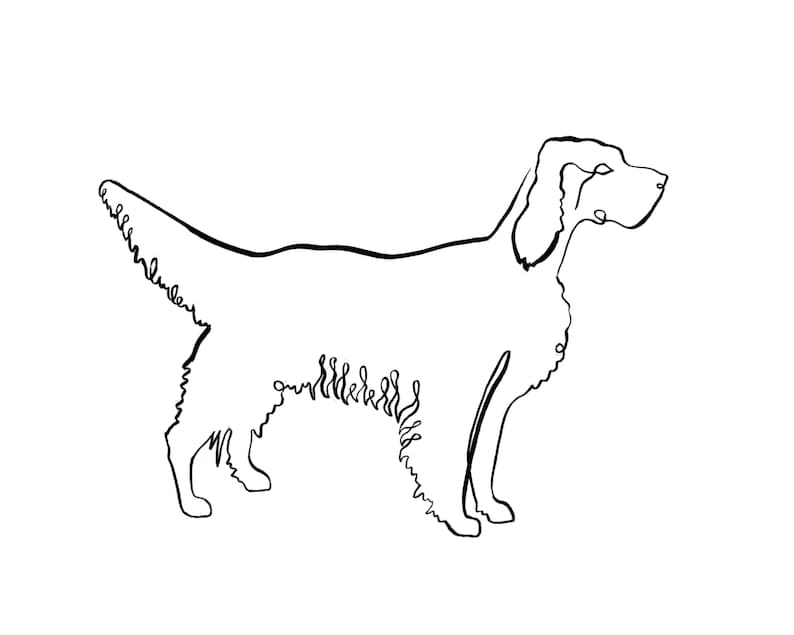 English Setter Line Art Print: Minimalist Dog Portrait (digital ...