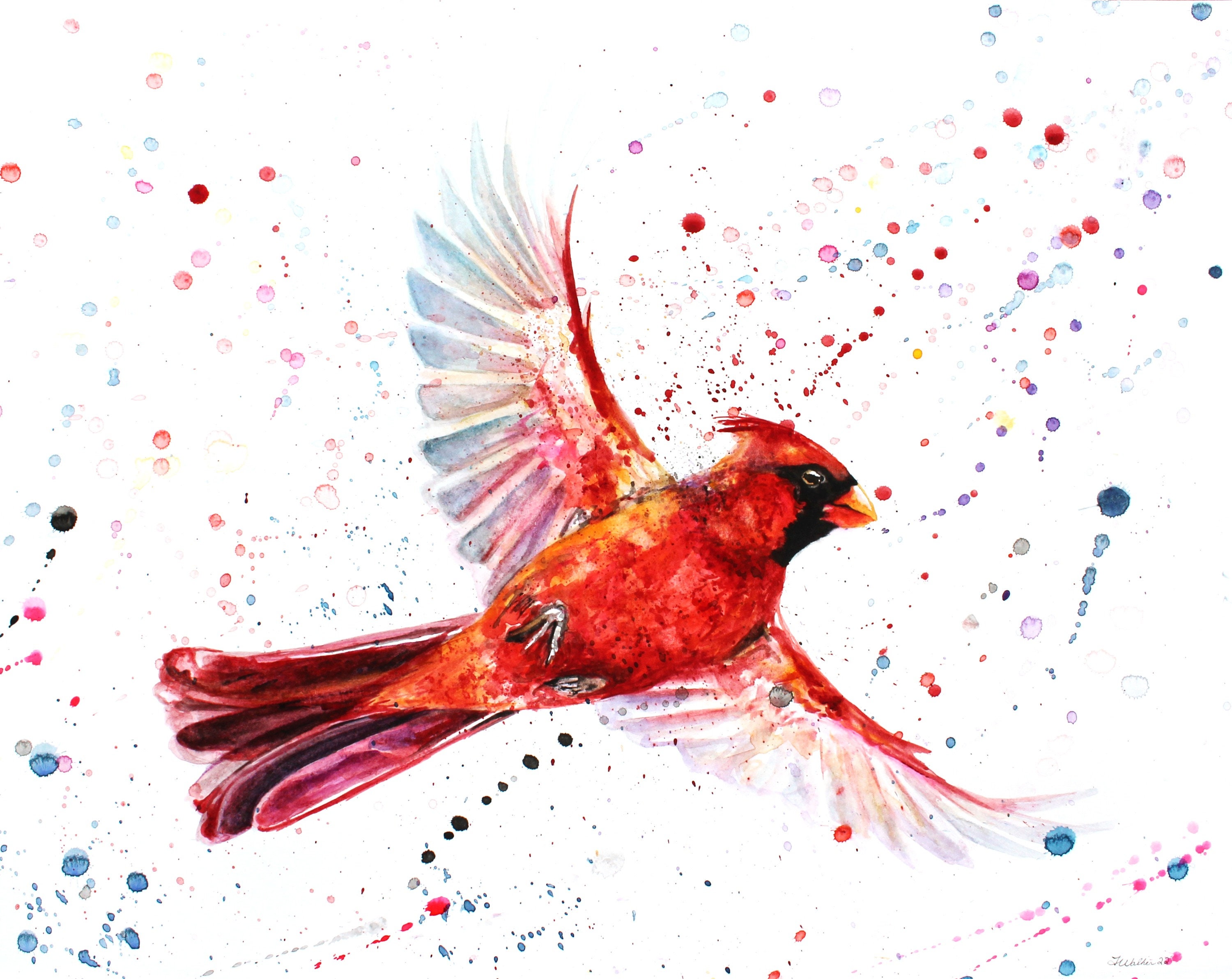 Drawing Of Cardinal In Flight