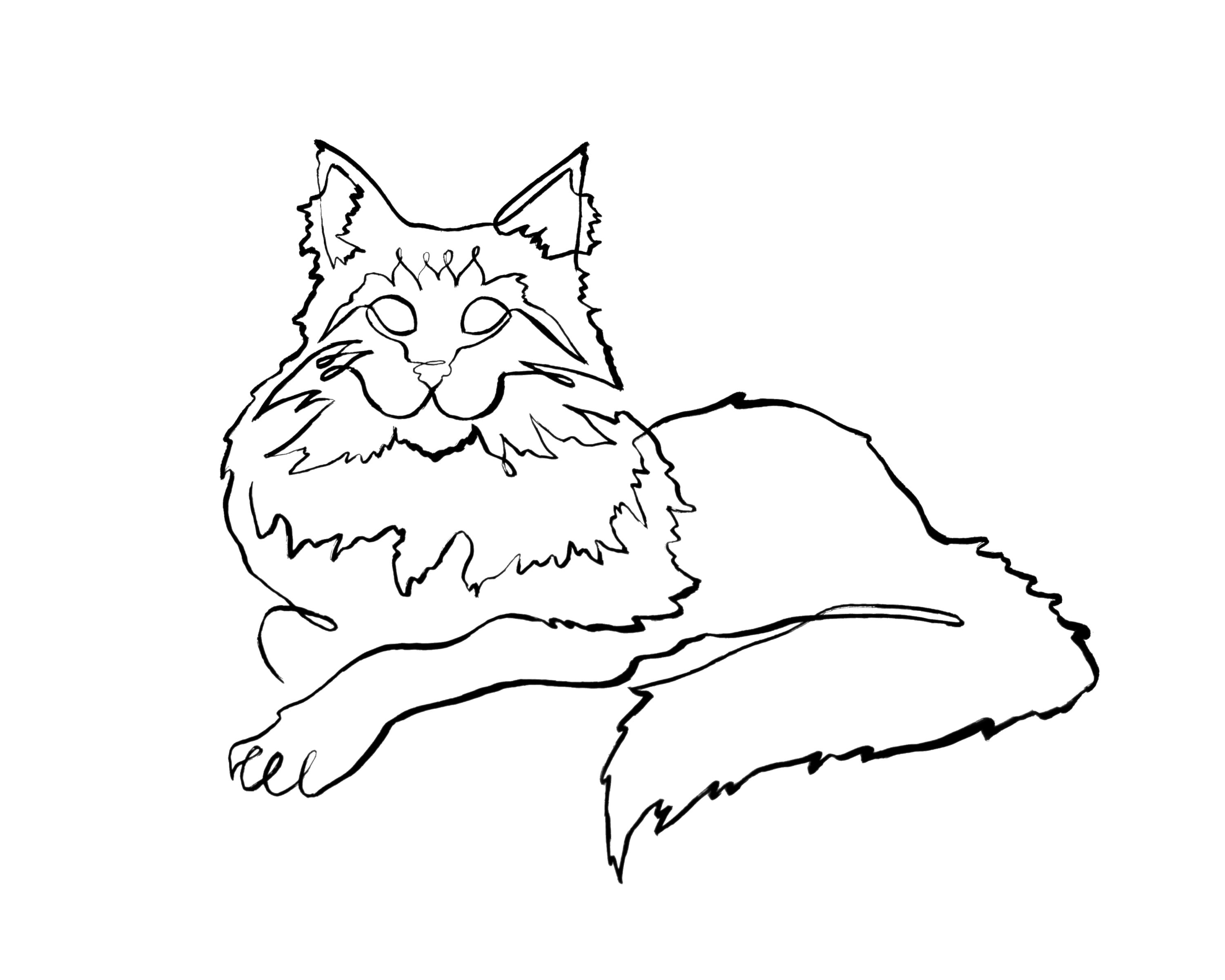 Simple One Line Drawing of Maine Coon Cat, Cat Line Drawing Fine Art ...