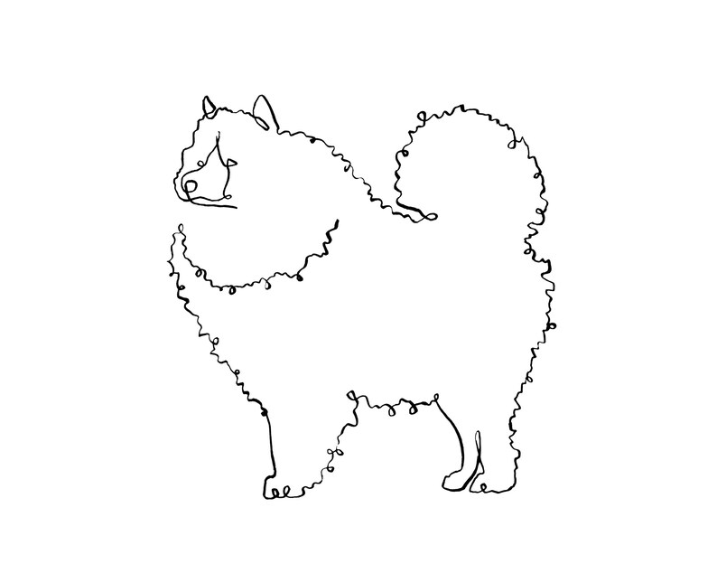 Samoyed Single Line Drawing, Modern Fine Art Prints of Samoyed Drawn ...