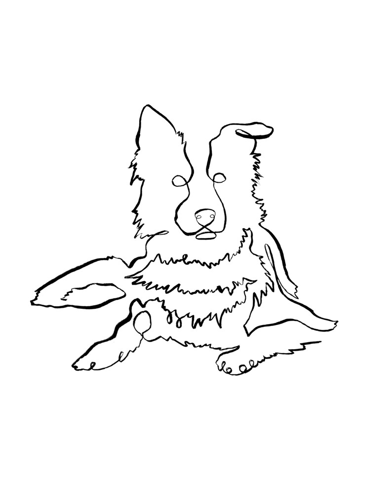 Simple One Line Drawing of Cute Border Collie Dog, Dog Line Drawing ...