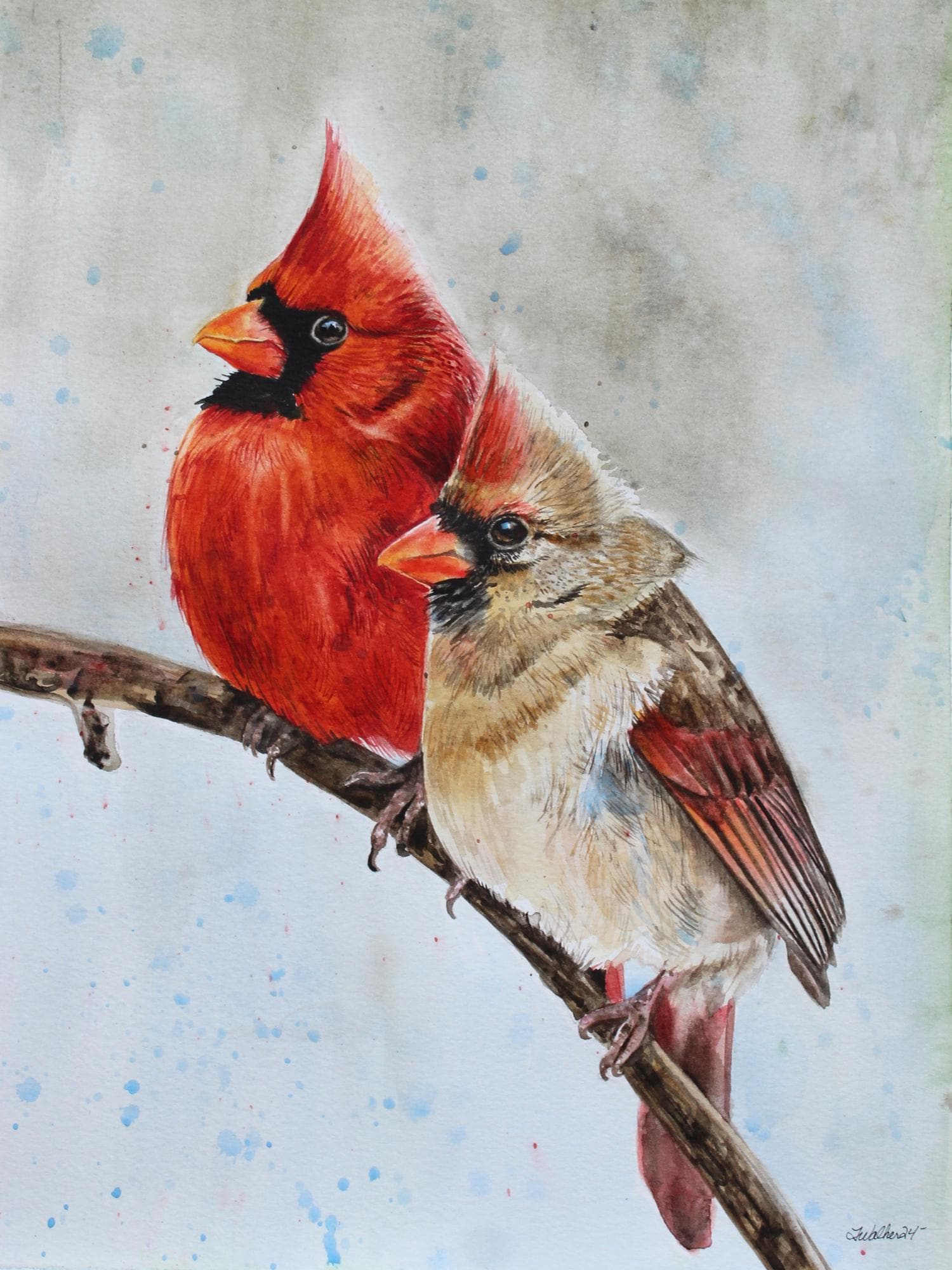 Beautiful Watercolor Painting of Male and Female Cardinal Sitting on a ...