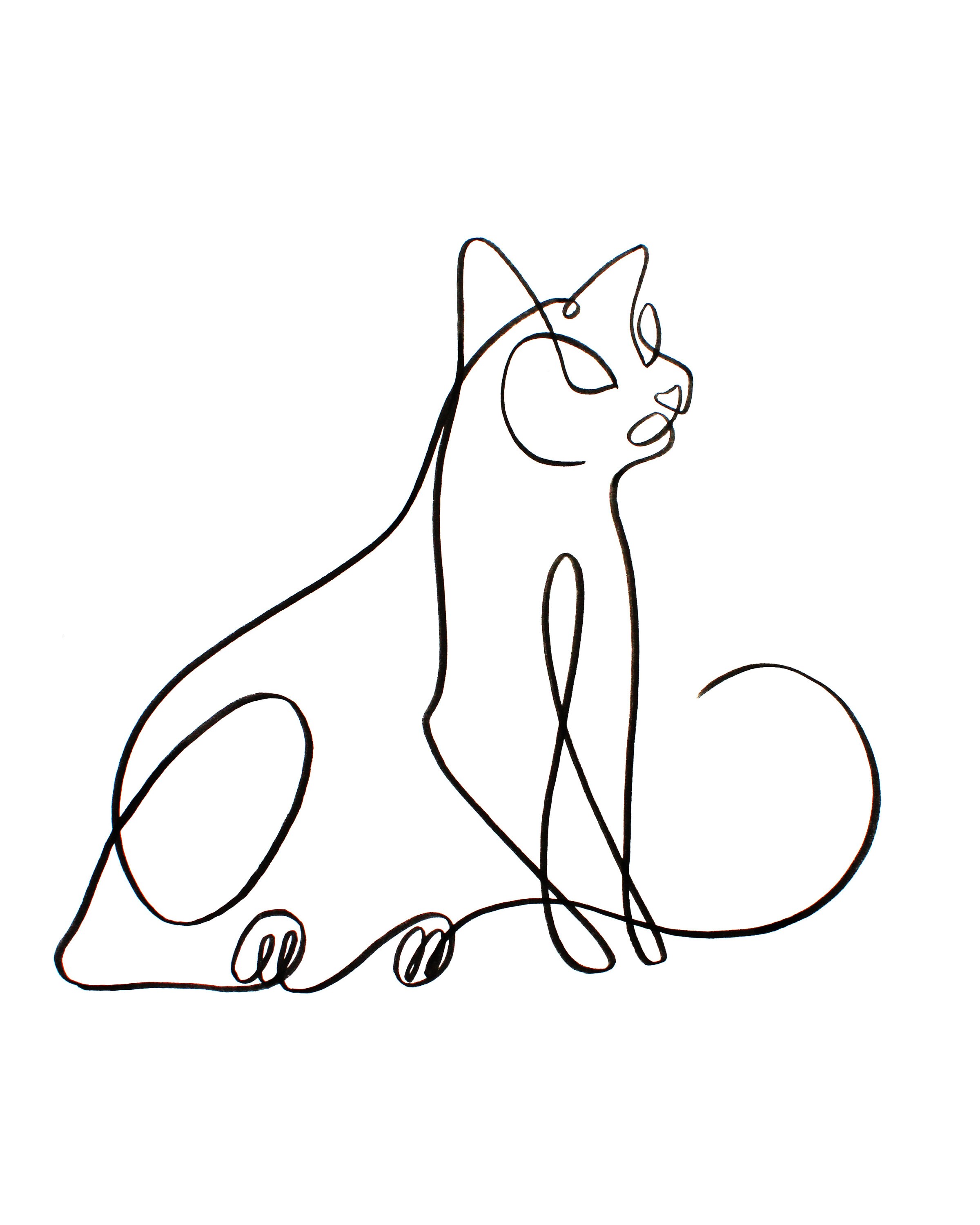 Cat Line Drawing Digital Download, Cat Line Drawing Prints, Abstract ...
