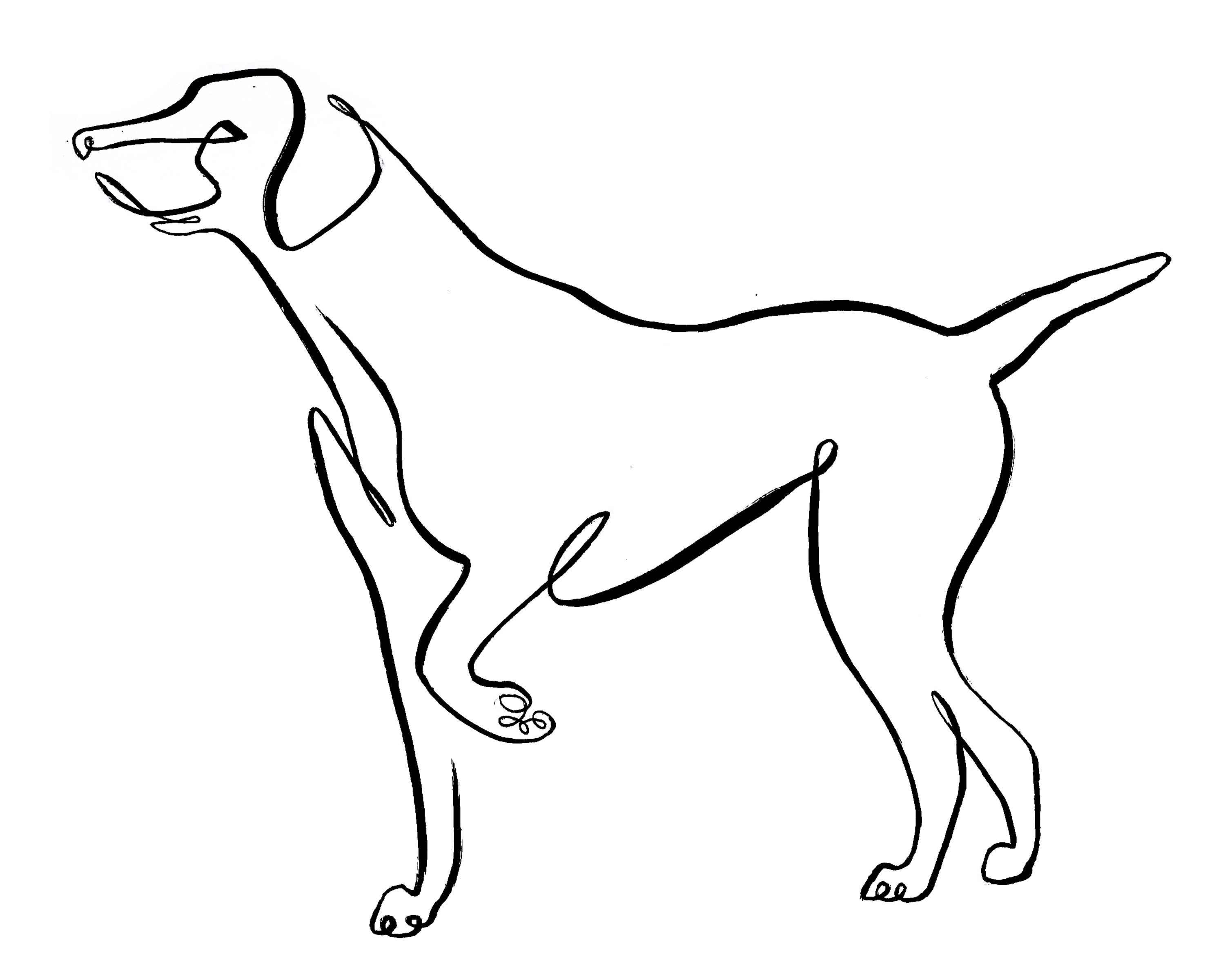 Abstract Line Drawing of German Shorthaired Pointer, Digital Fine Art ...