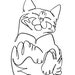 Adorable One Line Drawing of Sleeping Cat, Cute Kitty Curled up Asleep ...