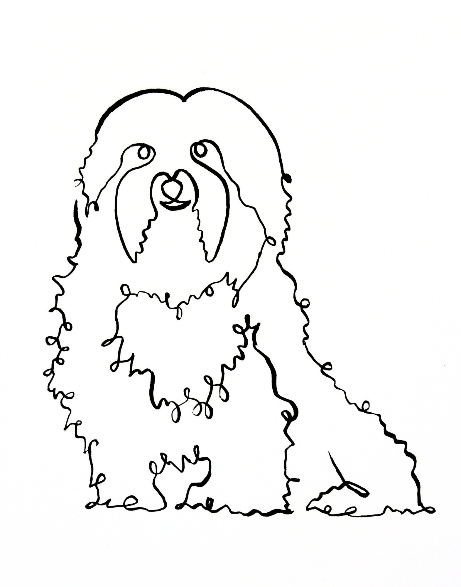 Havanese Single Line Drawing, Modern Line Art of Cute Dogs, Fluffy Dog ...
