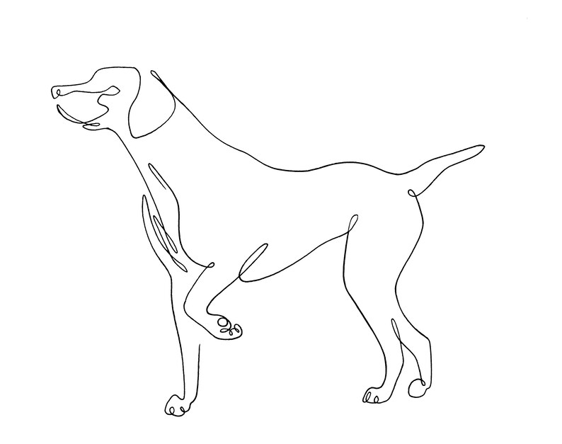 Abstract Line Drawing of German Shorthaired Pointer Digital - Etsy