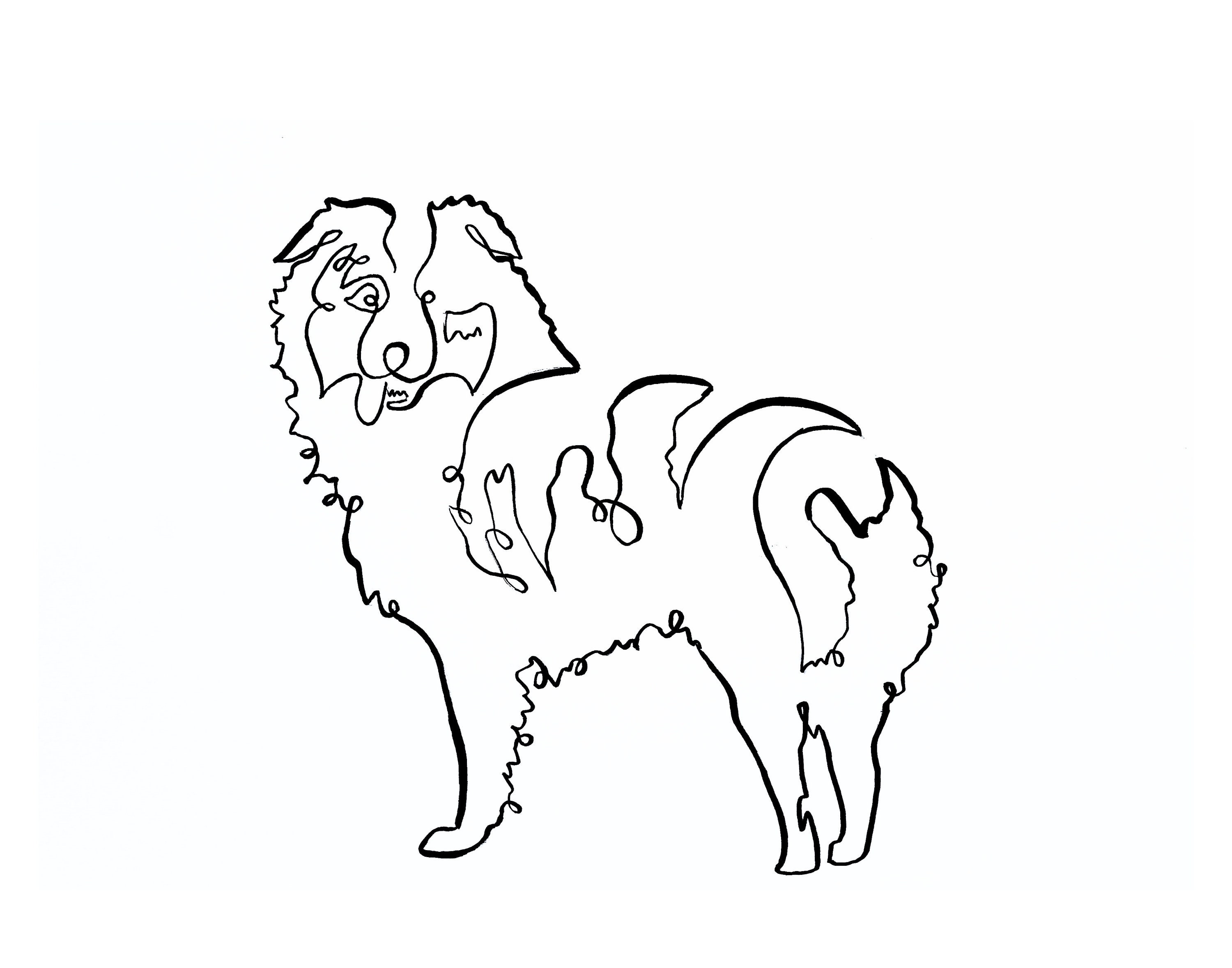Australian Shepherd Single Line Drawing, Modern Fine Art Print, Gift ...