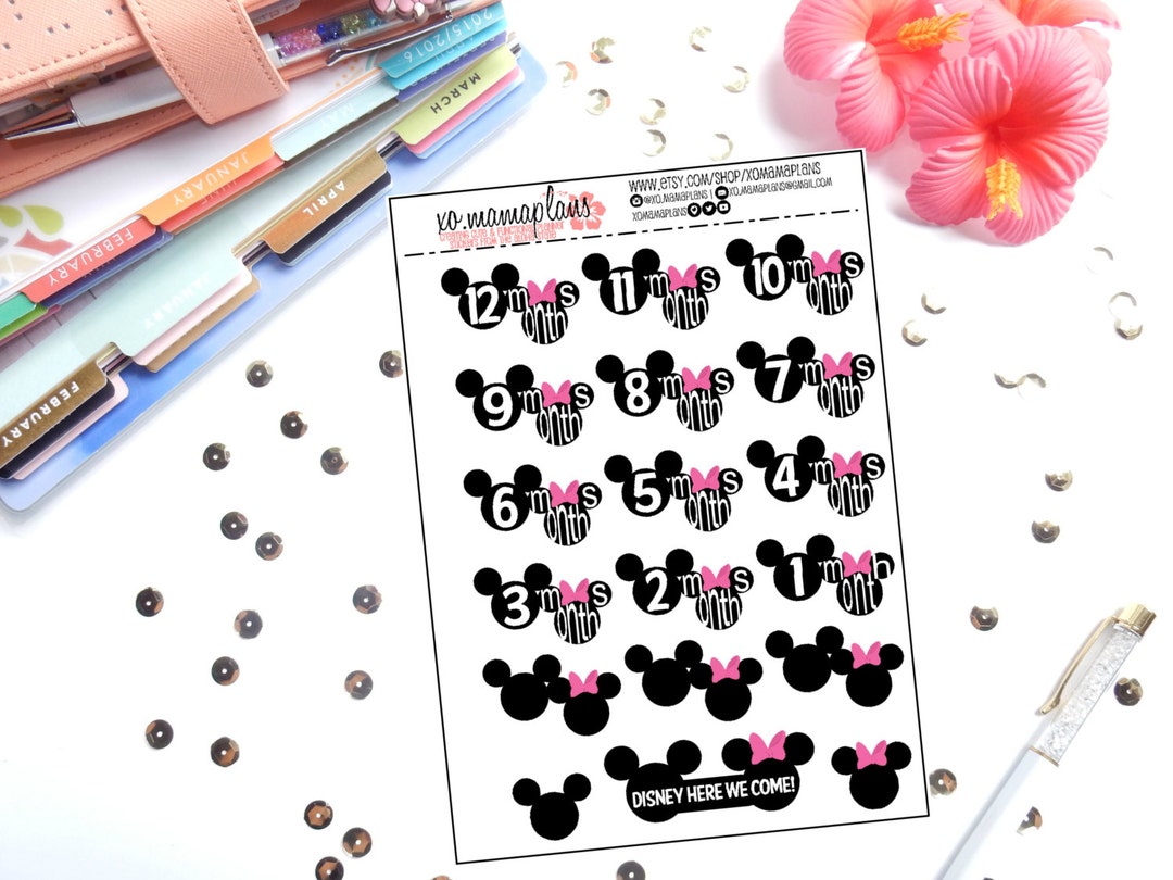 Magical Vacation 12 Month Countdown | Planner Stickers - Etsy