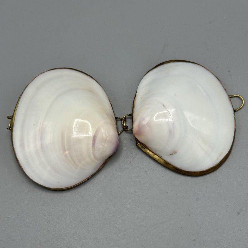 Shell Pill Box - Etsy