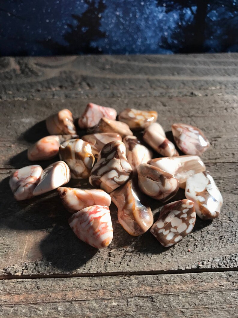 One Small Rare Tumbled Peanut Wood Stone Australia - Etsy UK