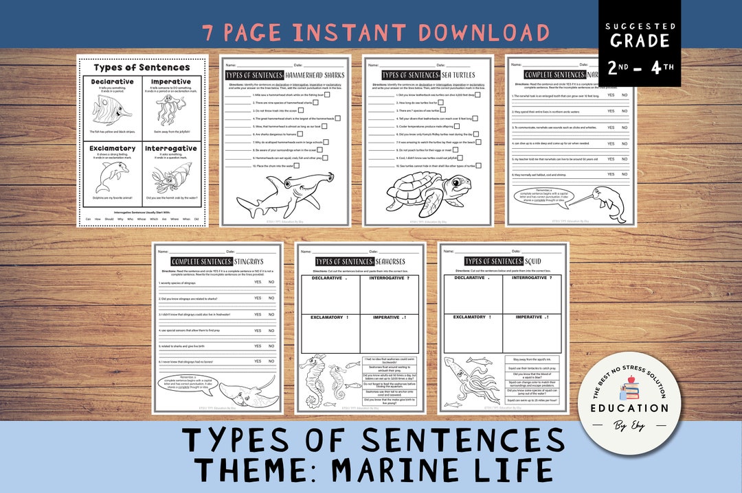 Types of Sentences Marine Life, 2nd 3rd 4th Grade, Language Arts ...