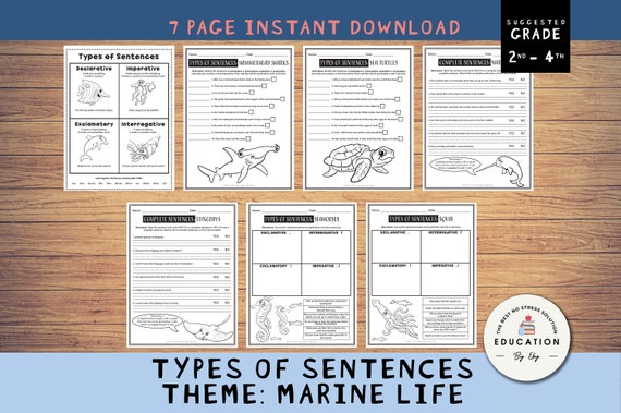 Types of Sentences Marine Life 2nd 3rd 4th Grade Language - Etsy
