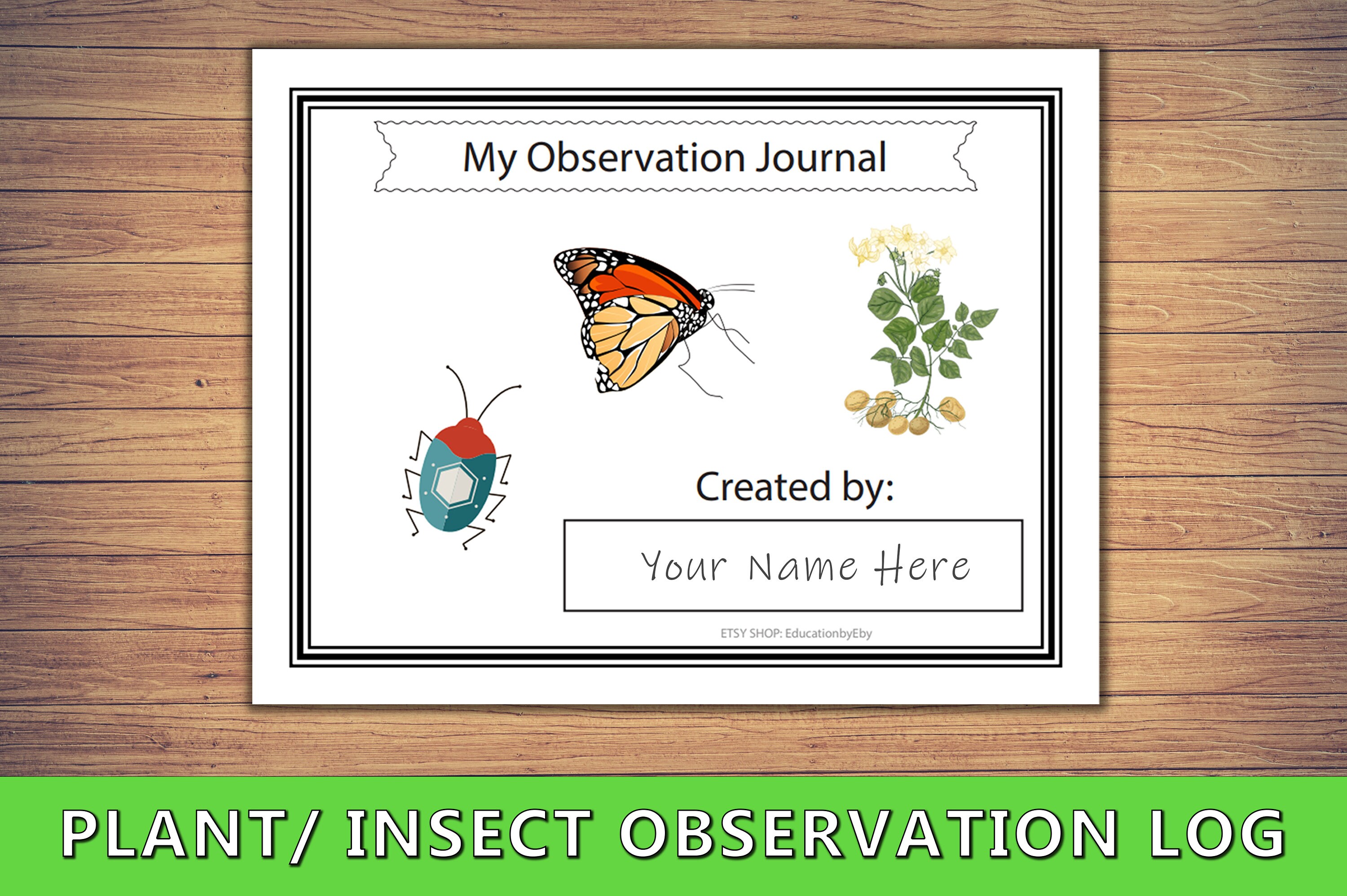 Kids Plant Observation Log, Insect Observation Log, Observation Journal ...