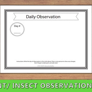 Kids Plant Observation Log, Insect Observation Log, Observation Journal ...
