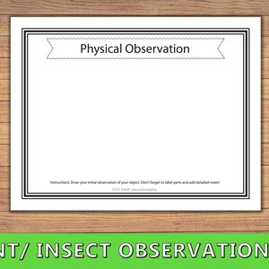 Kids Plant Observation Log, Insect Observation Log, Observation Journal ...