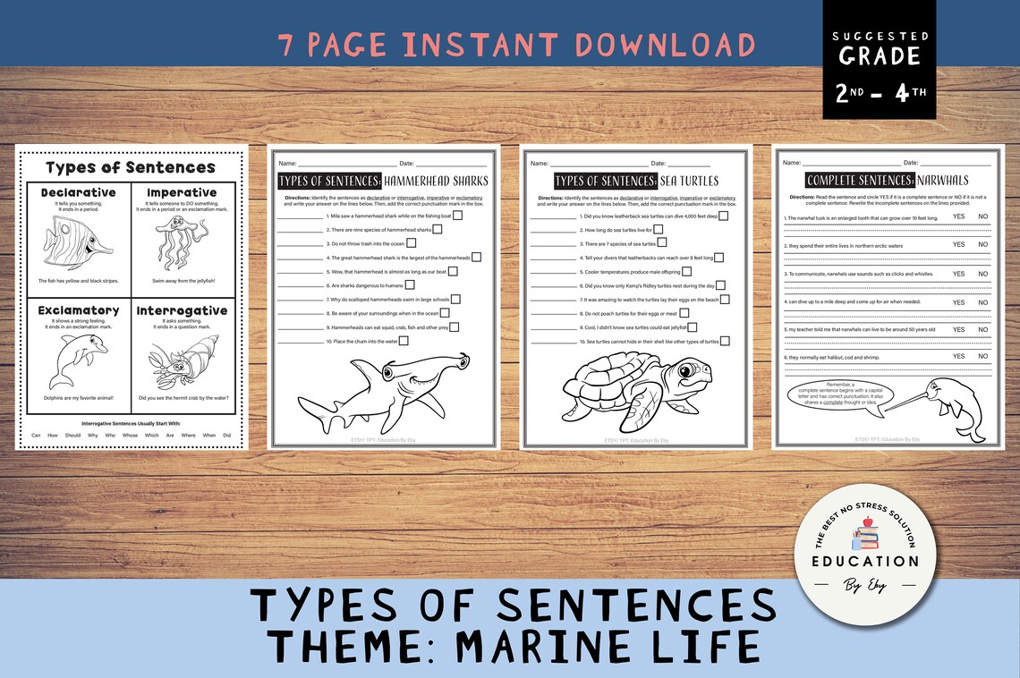 Types of Sentences Marine Life 2nd 3rd 4th Grade Language - Etsy
