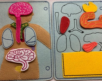 Felt Human Body | Etsy