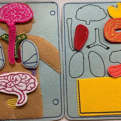 Human Body Unit Study Human Body Bundle Learn About the - Etsy