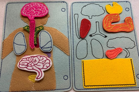 Human Felt Body - Etsy