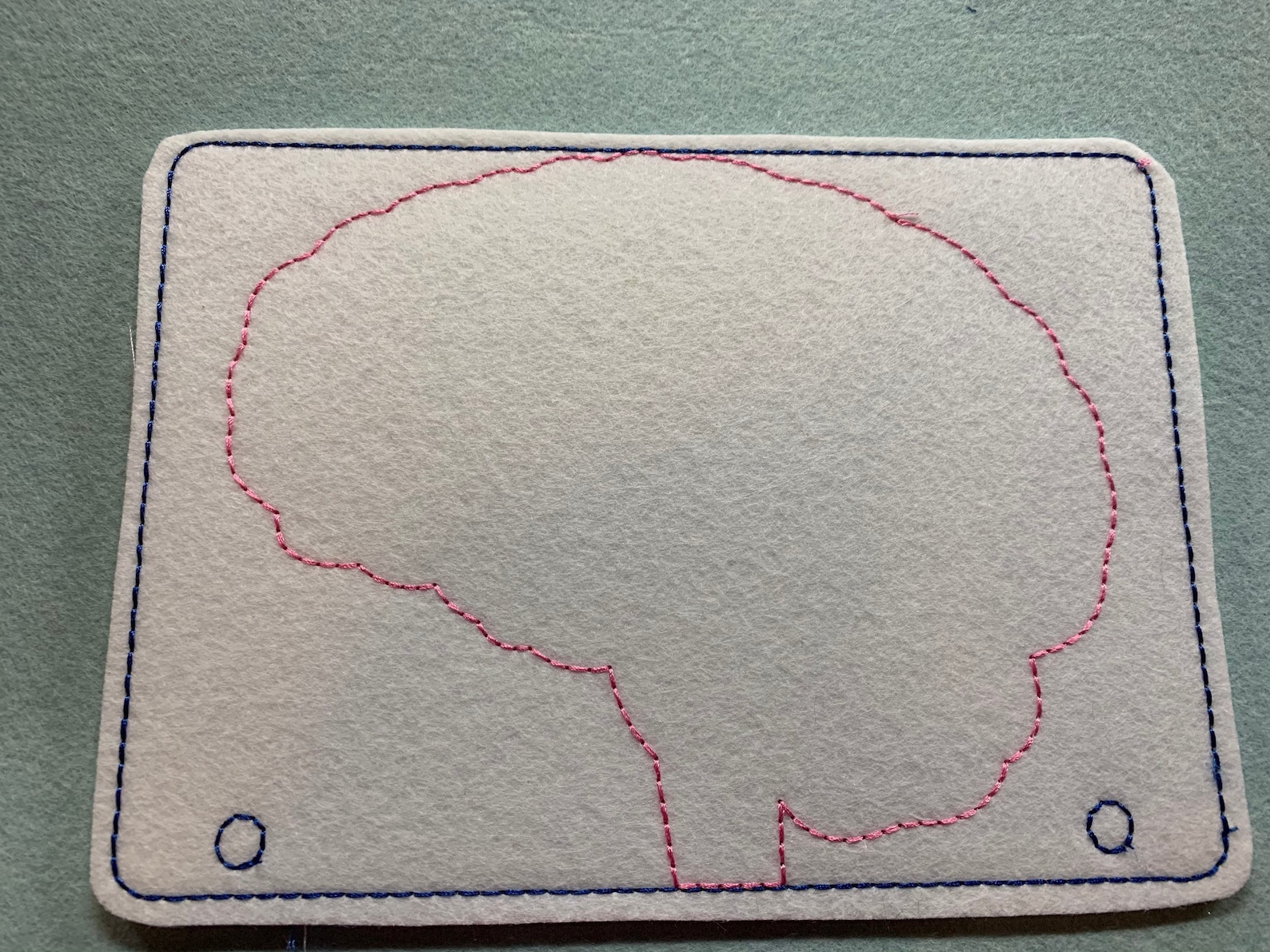 Brain Anatomy and Finger Tracing Maze - Etsy