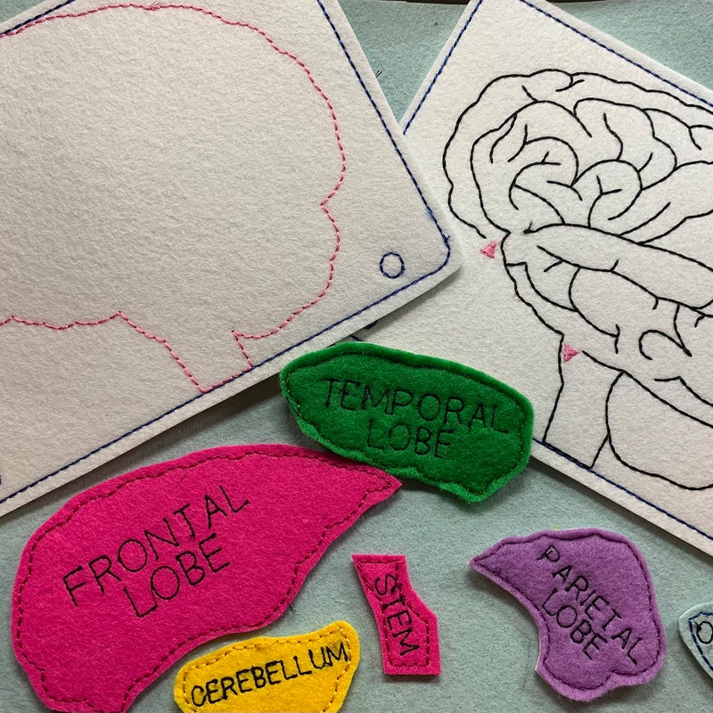 Human Body Felt - Etsy