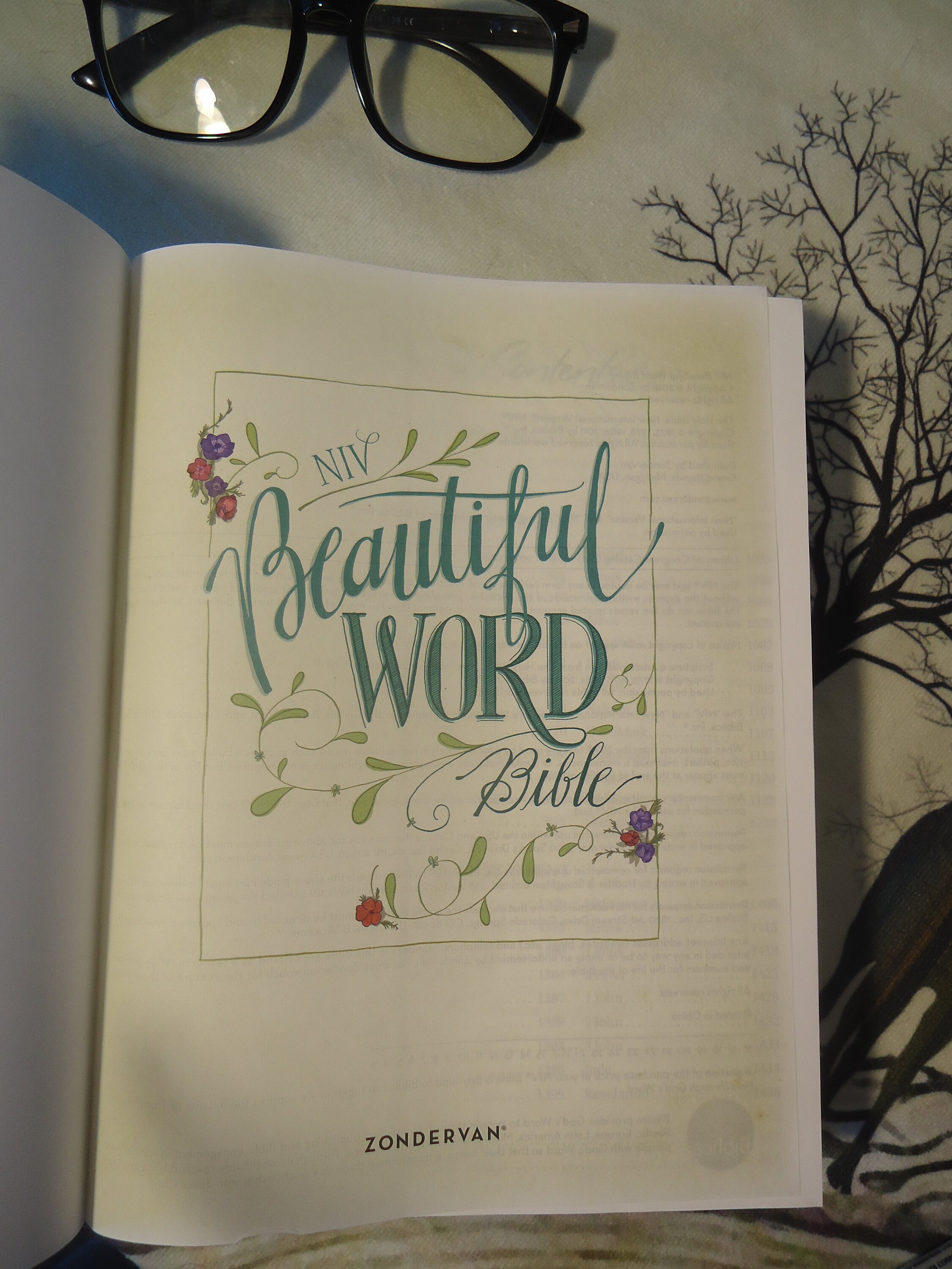 Hand Painted Journaling Bible, NIV Beautiful Word, Hand Painted Cover ...