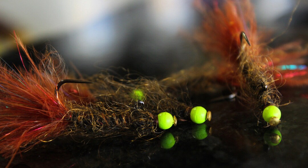 Balanced Leech 10 - Etsy