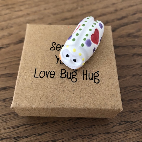Sending Hugs Love Bug Ladybird Hug in a Box Support - Etsy