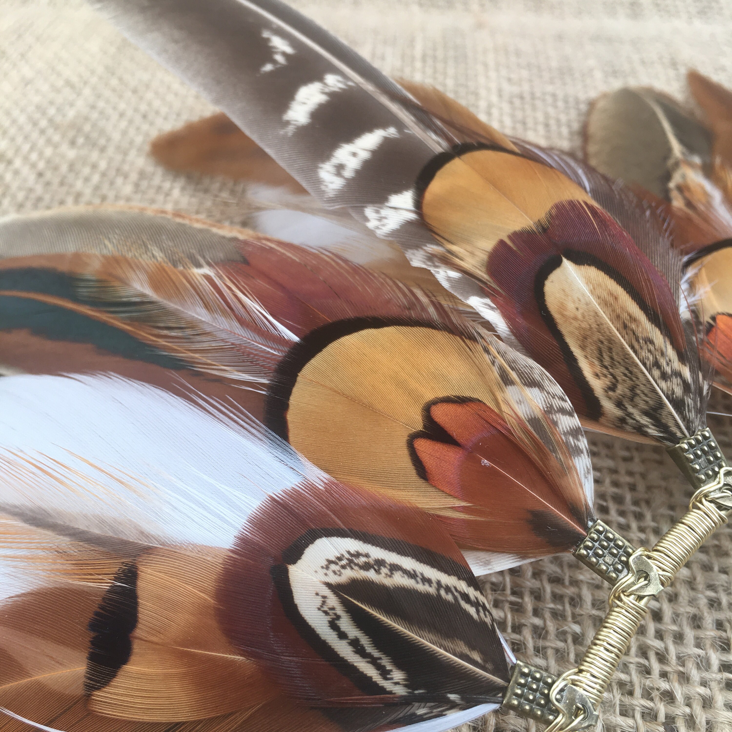 Divine Ear-wing Rare Earthy-toned Falcon Feathers Mixed With Natural ...